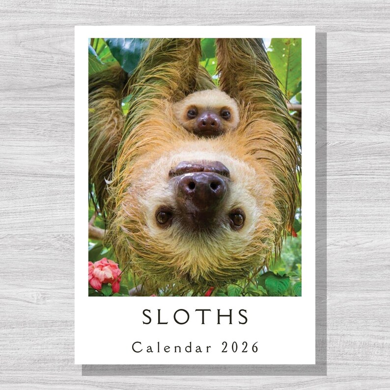 Sloths 2026 Calendar Printable - Etsy
