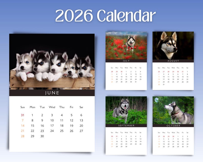 Siberian Husky 2026 Calendar - Etsy