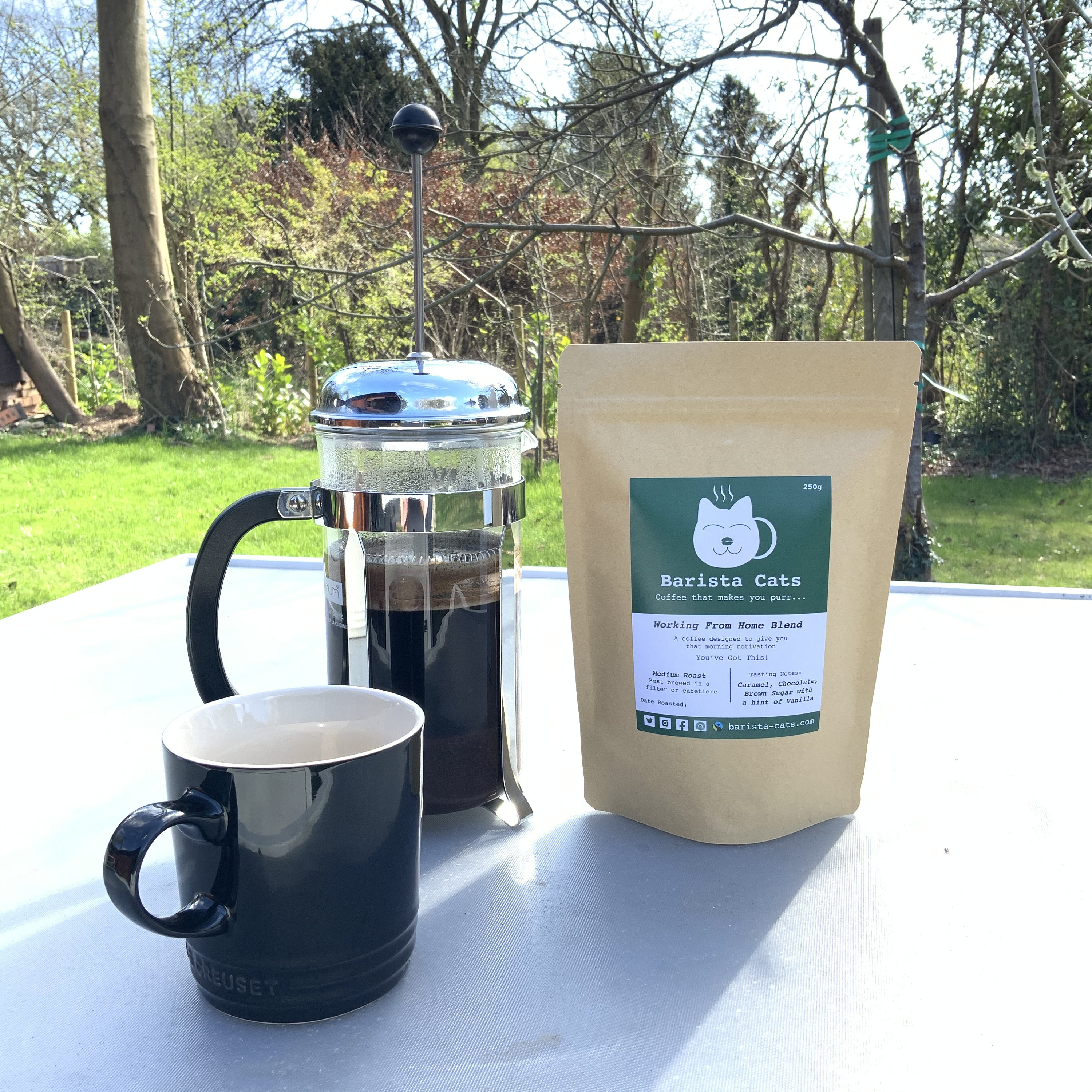 Coffee Selection Box Gift Set — Barista Cats