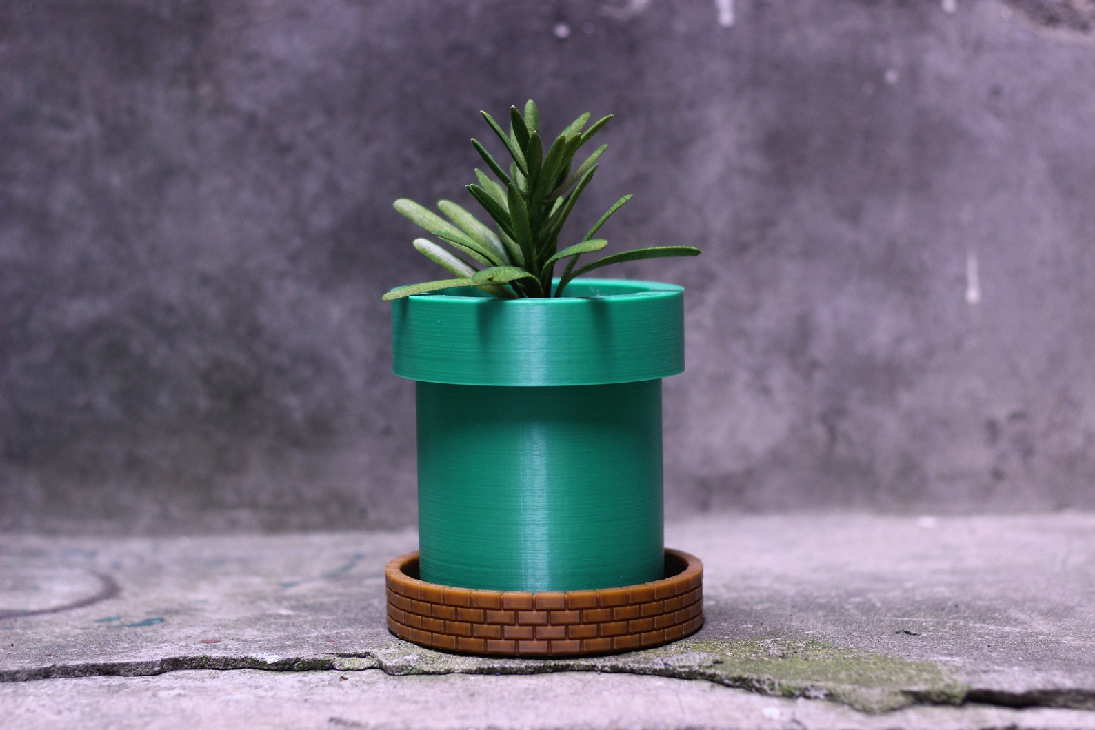 Super Mario Pipe Planter Mario Pot impreso en 3D con bandeja - Etsy España