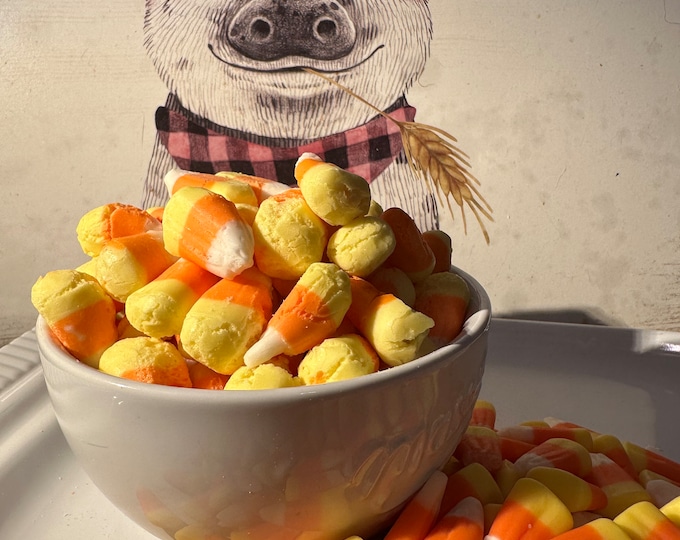 Freeze Dried Candy Corn Crunchies - Etsy