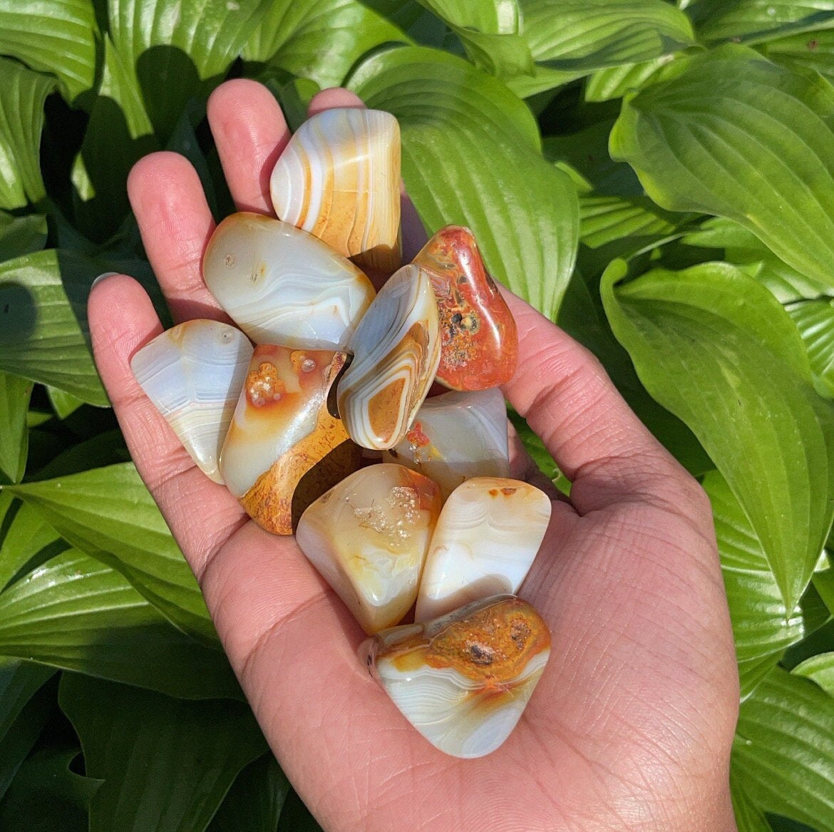 Large Mexican Banded Agate Tumble Crystal Tumbles Pocket - Etsy UK