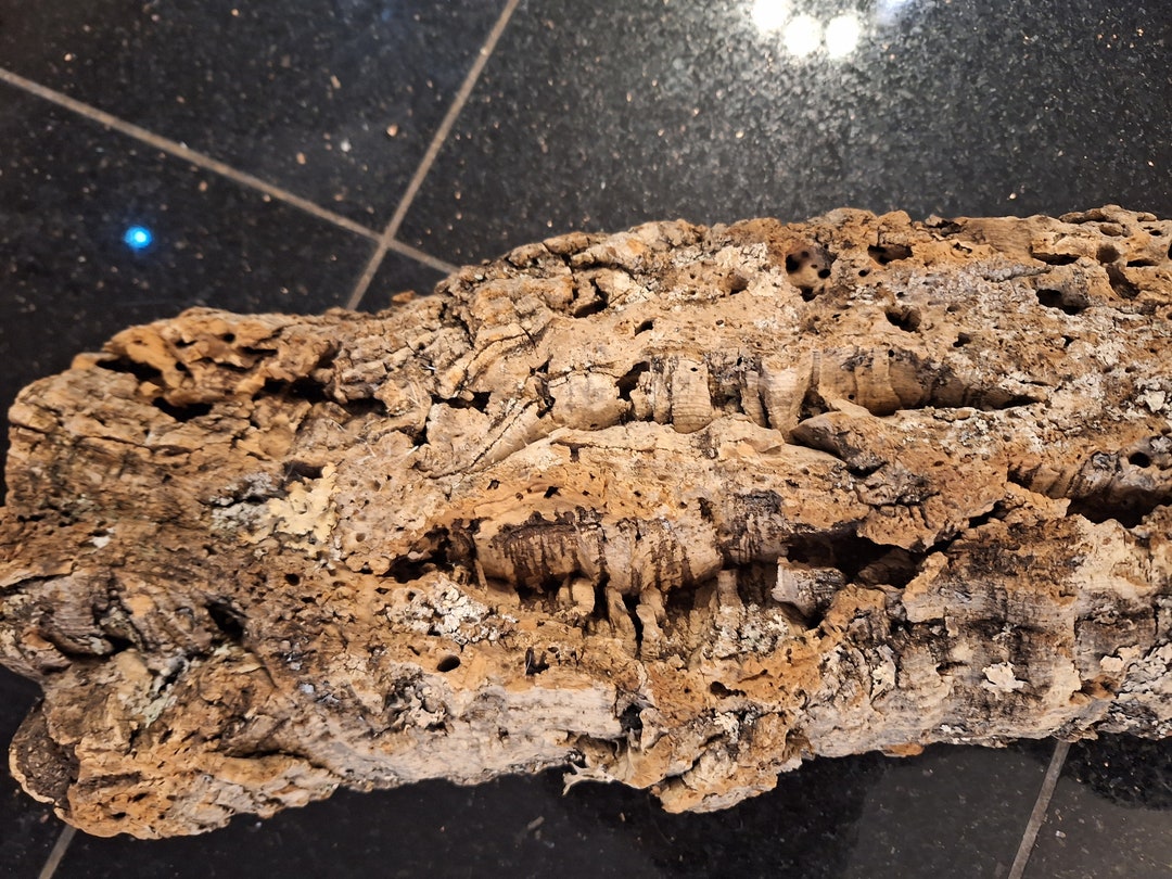 Solid Unique Natural Cork Bark Branch, Cork Branch, Cork Bark Pieces ...