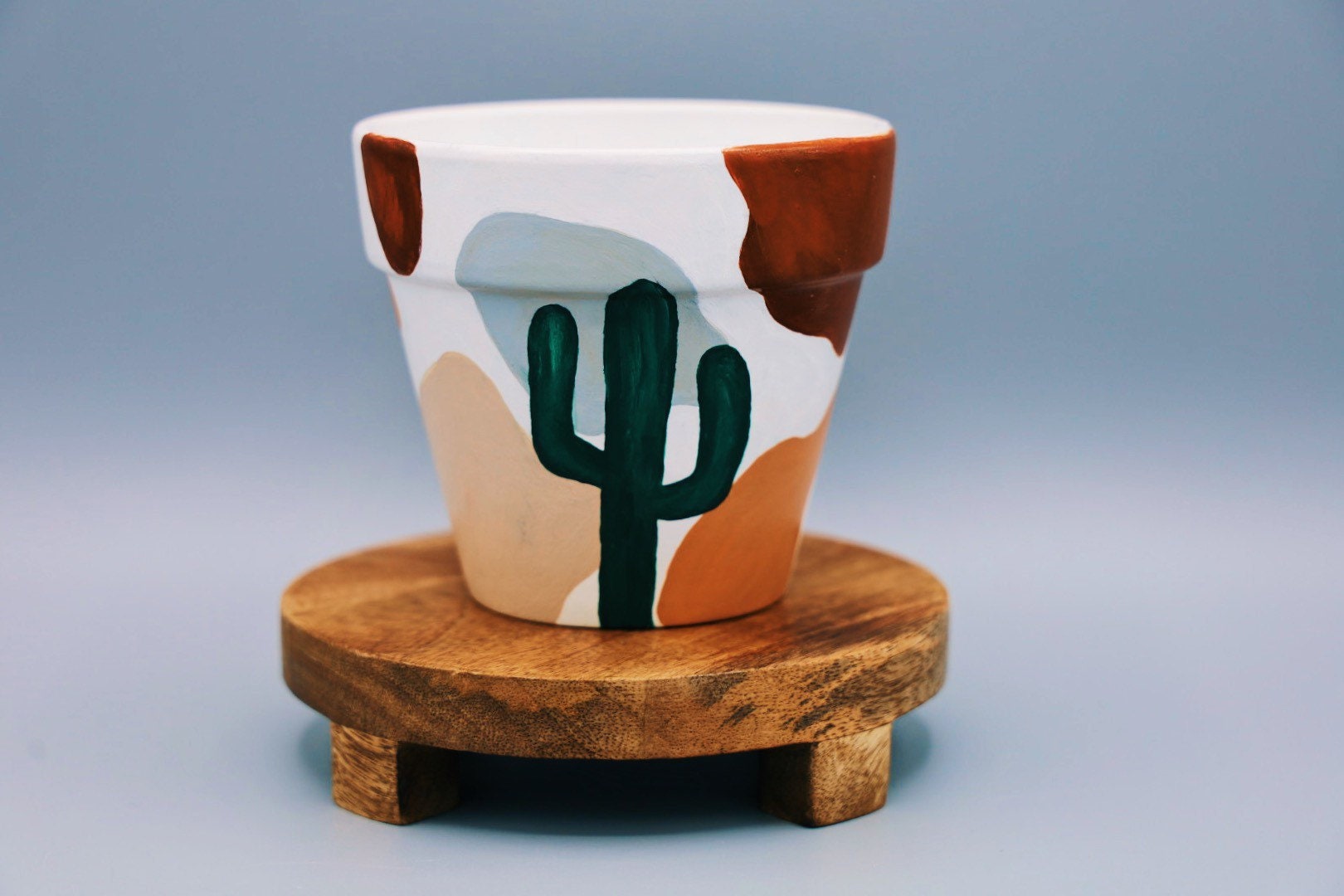 Minimal Desert Pot | Cactus Art Plant Pot | Hand-painted Planter ...