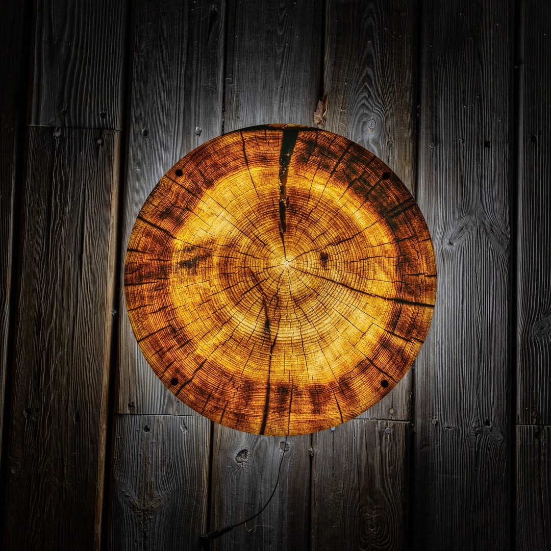 Tree Stump LED Wall Art: Wood Slice Light Decor - Etsy