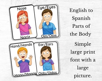 Flash Cards Body Parts - Etsy