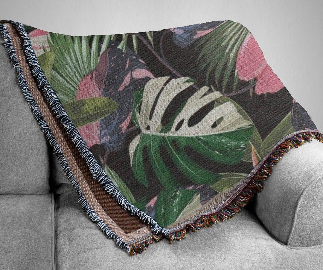 Monstera Variegated Albo, Philodendron Pink Princes and Ficus Elastica ...