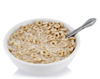 Car Hop Fake Food - Etsy