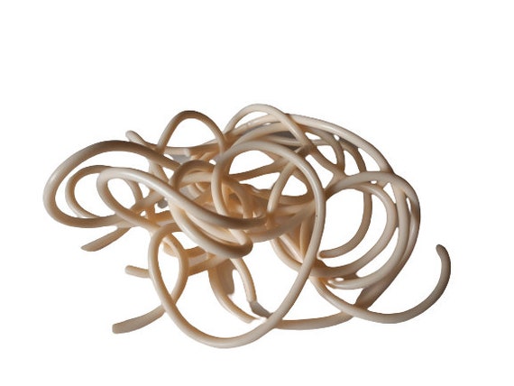 Display Faux Food Prop Spaghetti | Etsy