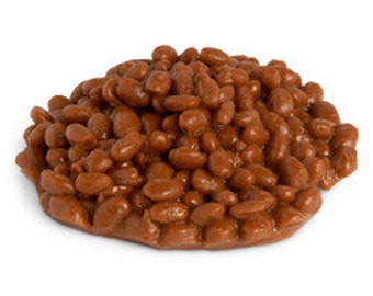 Fake Food Beans - Etsy