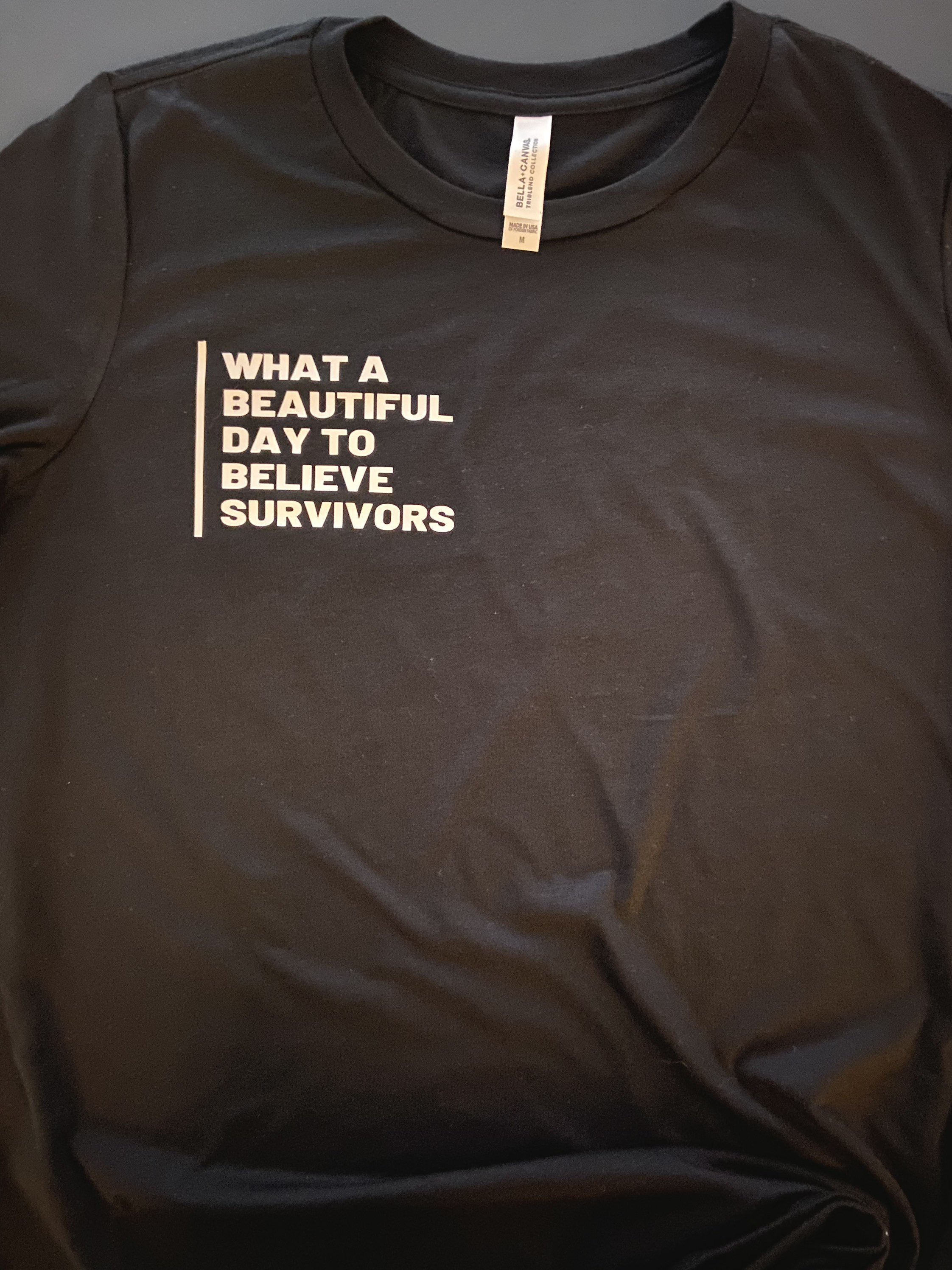 Survivor Sexual Assault, Domestic Violence, Believe Survivors, My Body ...