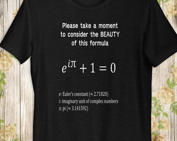 Euler's Identity Math Science Fun T-shirt - Etsy