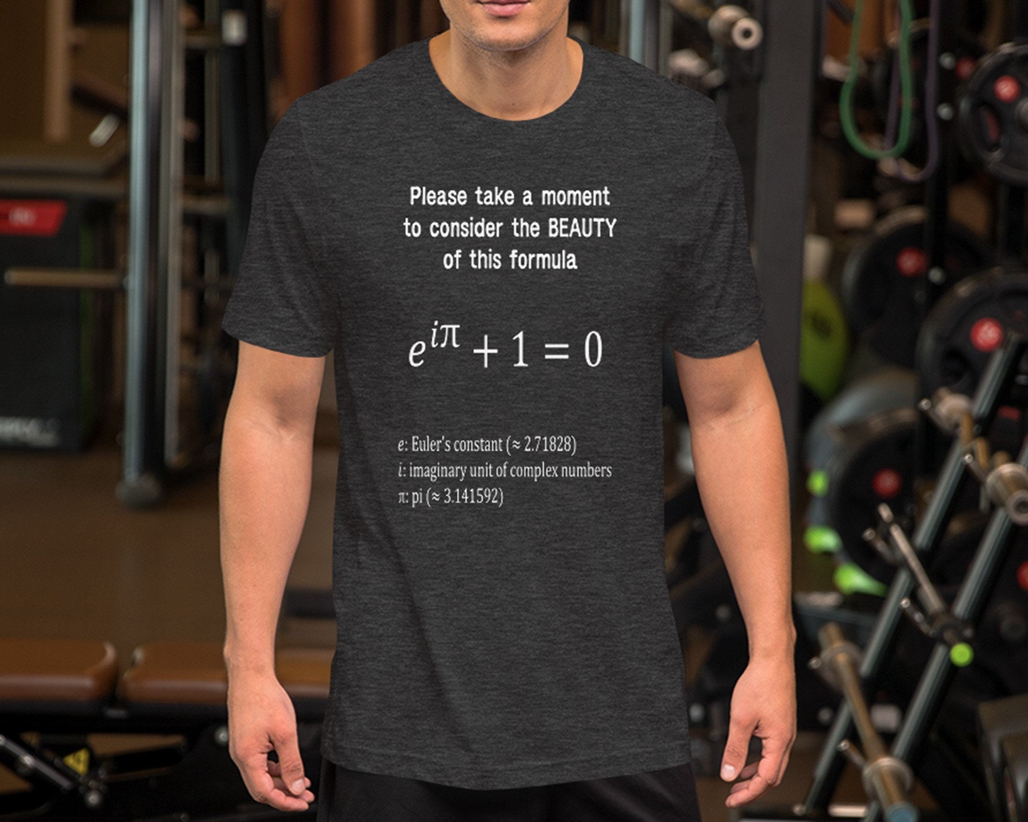 Euler's Identity Math Science Fun T-shirt - Etsy