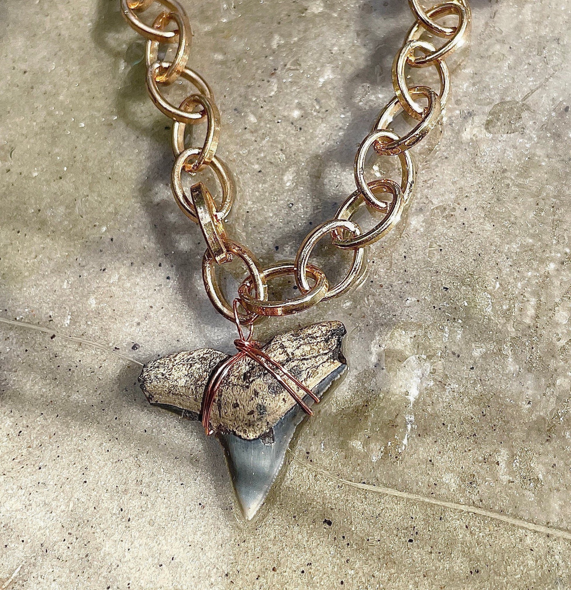 Bull Shark Tooth Necklace