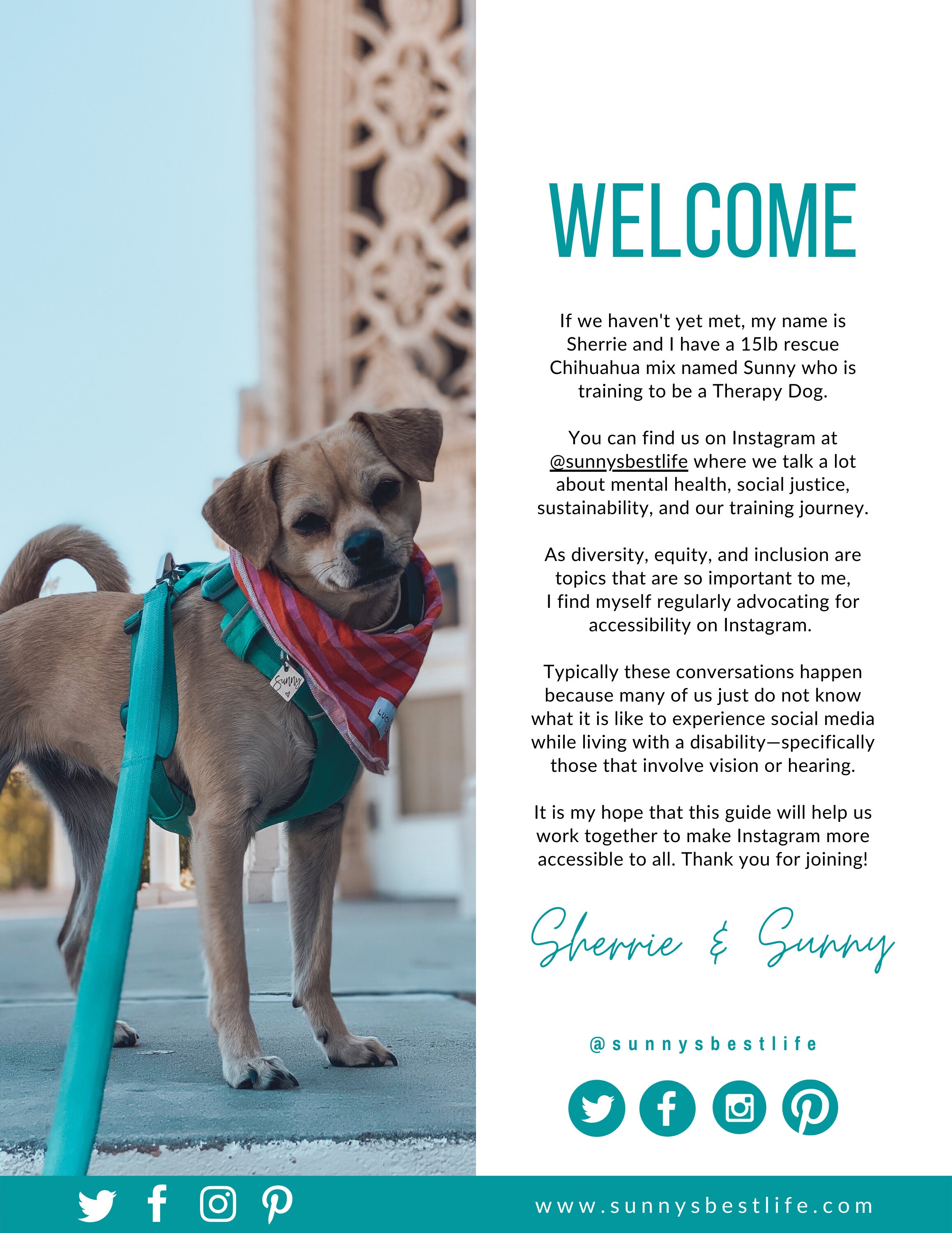 Instagram Accessibility E-guide | Instant Download Ebook PDF With BONUS ...