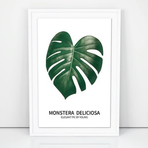 Monstera Modern Leaf Digital Print Tropicalbotanical - Etsy