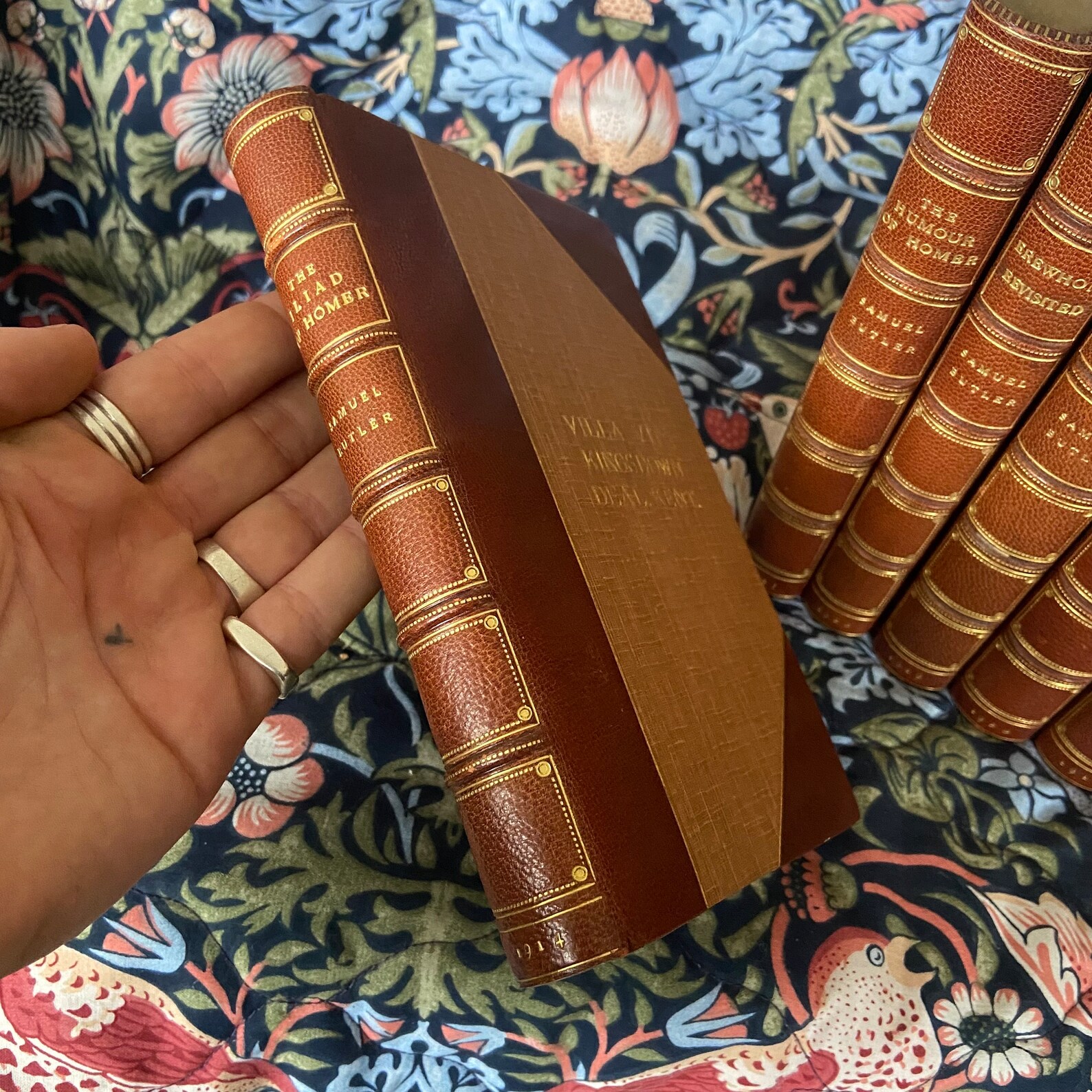 RARE BEAUTIFUL Antique Book Set Samuel Butler 10 BOOKS Gilt Gold ...