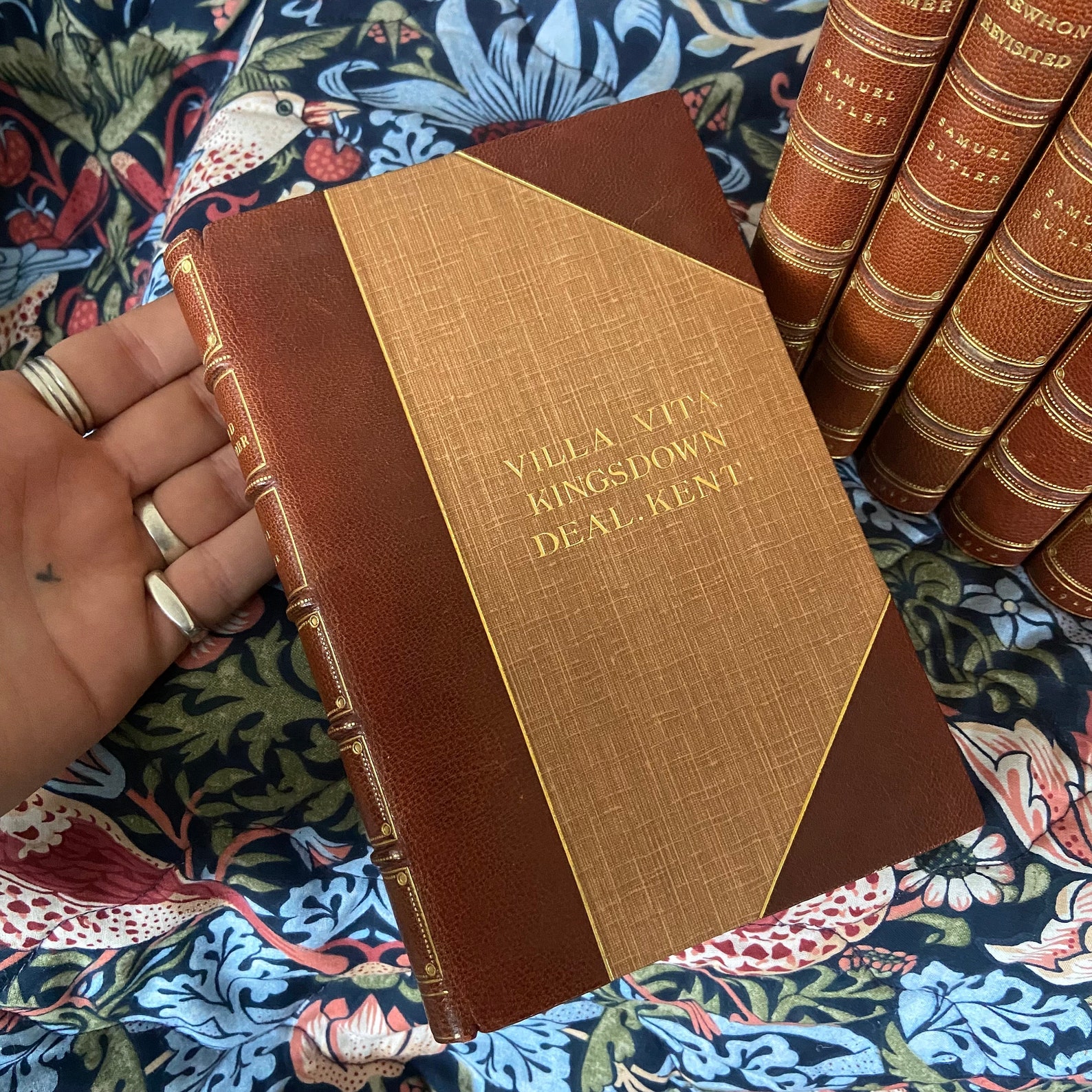 RARE BEAUTIFUL Antique Book Set Samuel Butler 10 BOOKS Gilt Gold ...