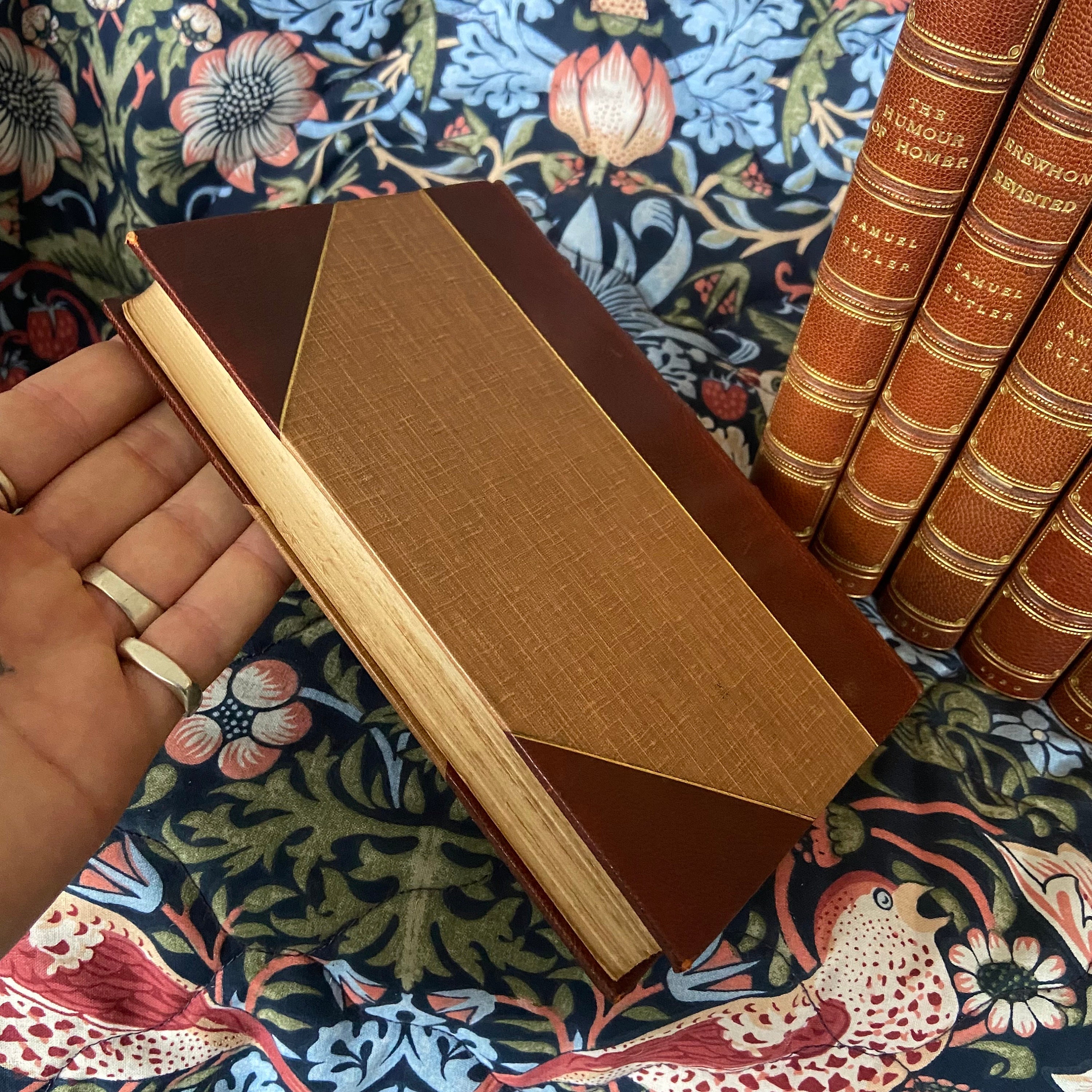 RARE BEAUTIFUL Antique Book Set Samuel Butler 10 BOOKS Gilt Gold ...