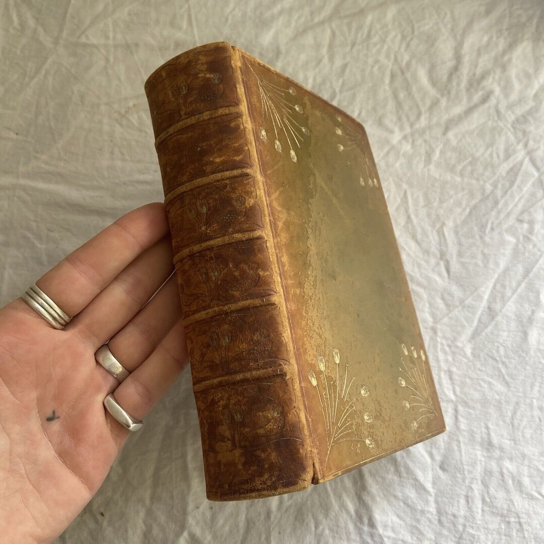 Original 19thc Antique Book Poetical Works of Sir Walter Scott Albion ...