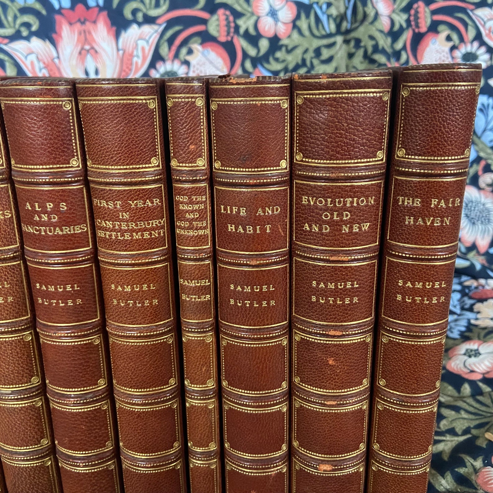 RARE BEAUTIFUL Antique Book Set Samuel Butler 10 BOOKS Gilt Gold ...