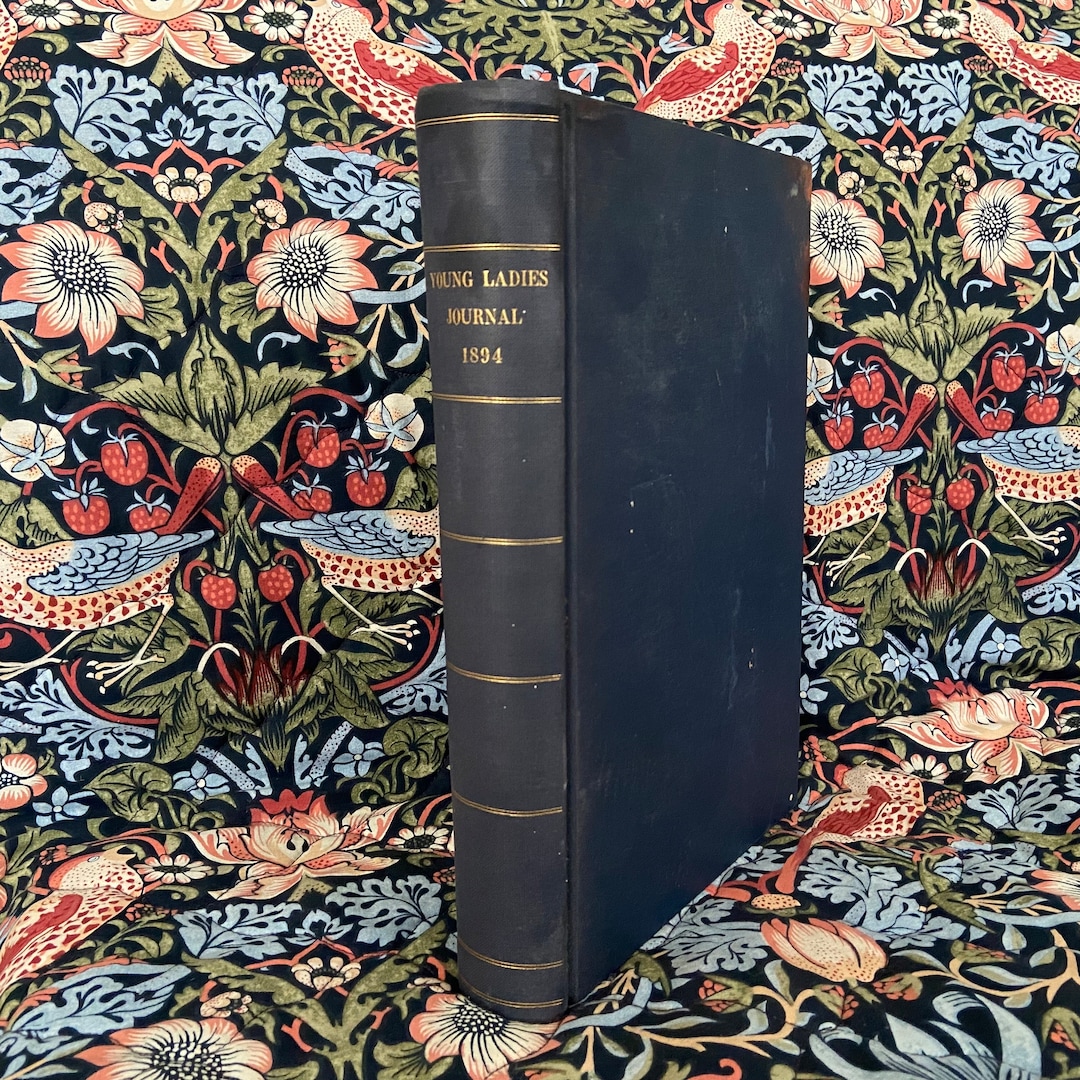 RARE Antique Book VICTORIAN MAGAZINES the Young Ladies Journal 1894 ...