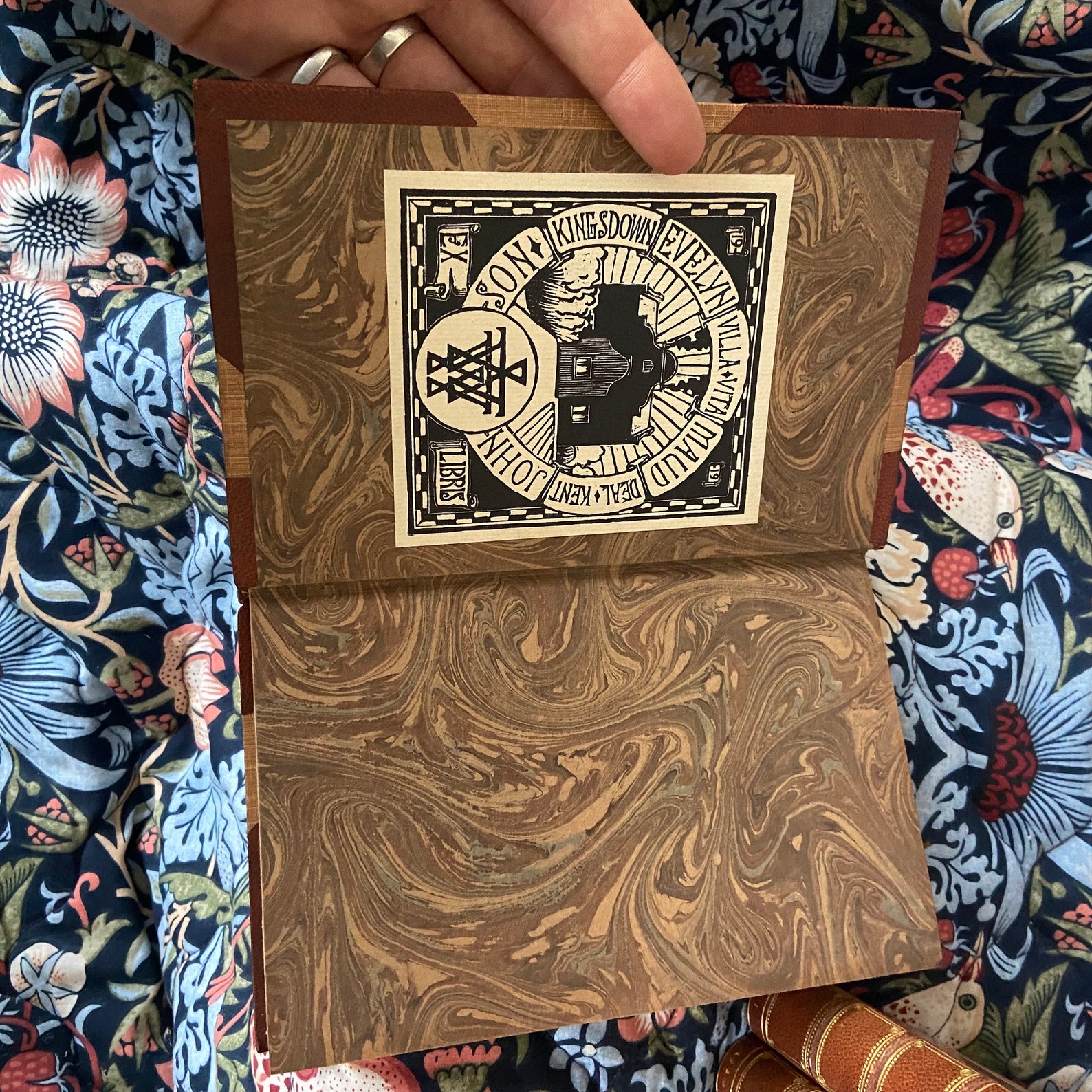 RARE BEAUTIFUL Antique Book Set Samuel Butler 10 BOOKS Gilt Gold ...