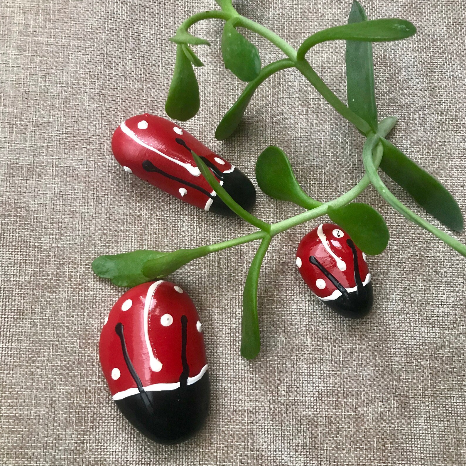 Ladybirds Hand Painted Rocks, Garden Art, Ladybug Gifts, Gardeners Gift ...