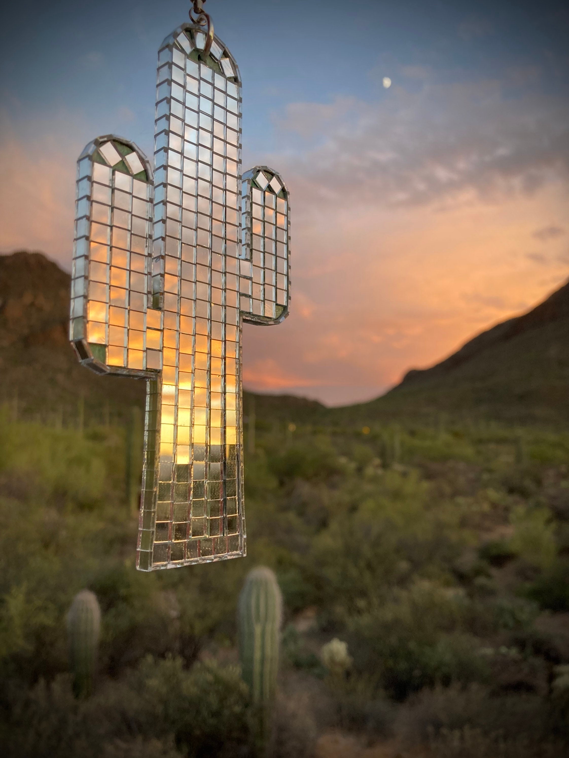 Spinning Disco Cactus Discoguaro Mirror Mosaic Disco Ball Saguaro Art ...