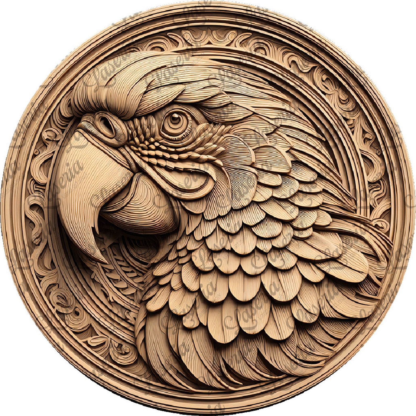 Parrot Engrave Ready Photo - Etsy