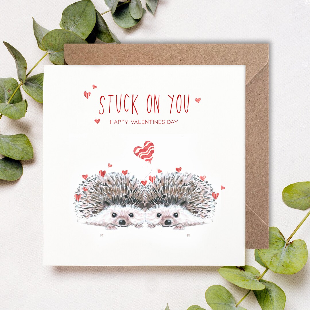 Hedgehog Valentines Day Card 'stuck on You' - Etsy UK