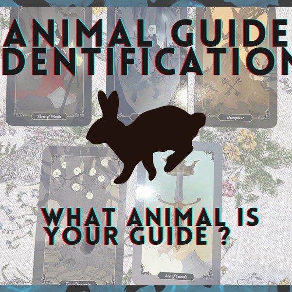 Animal Guide - Etsy