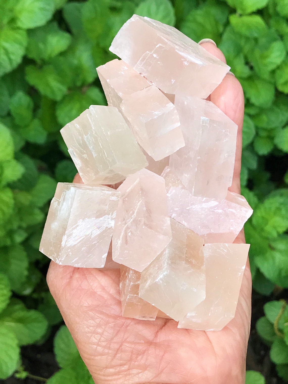 1 Lb Pink Optical Calcite From Mexico Optical Calcite Rough - Etsy