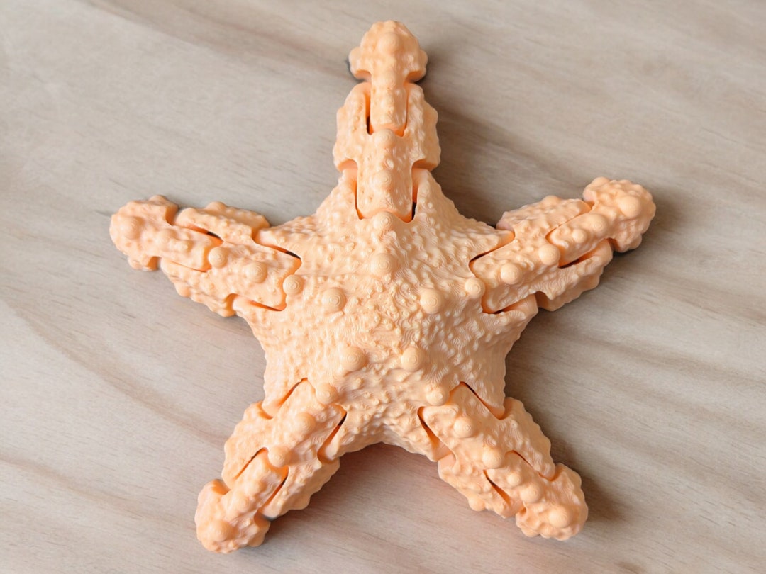 Star Fish Toy Fidget, Desk Pet Mini 3d Animal, Starfish Gifts for Women ...