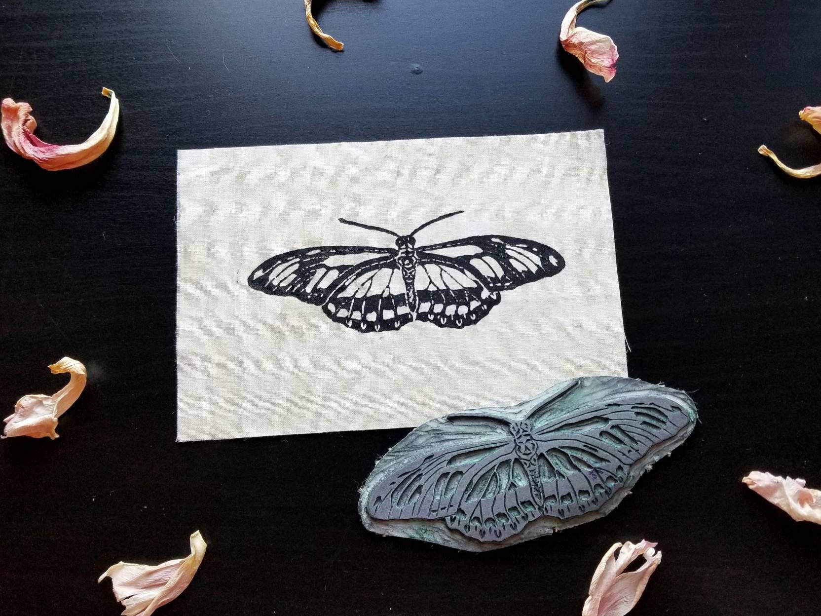 Entomology Patch Packs Beetles & Moths Original Art - Etsy