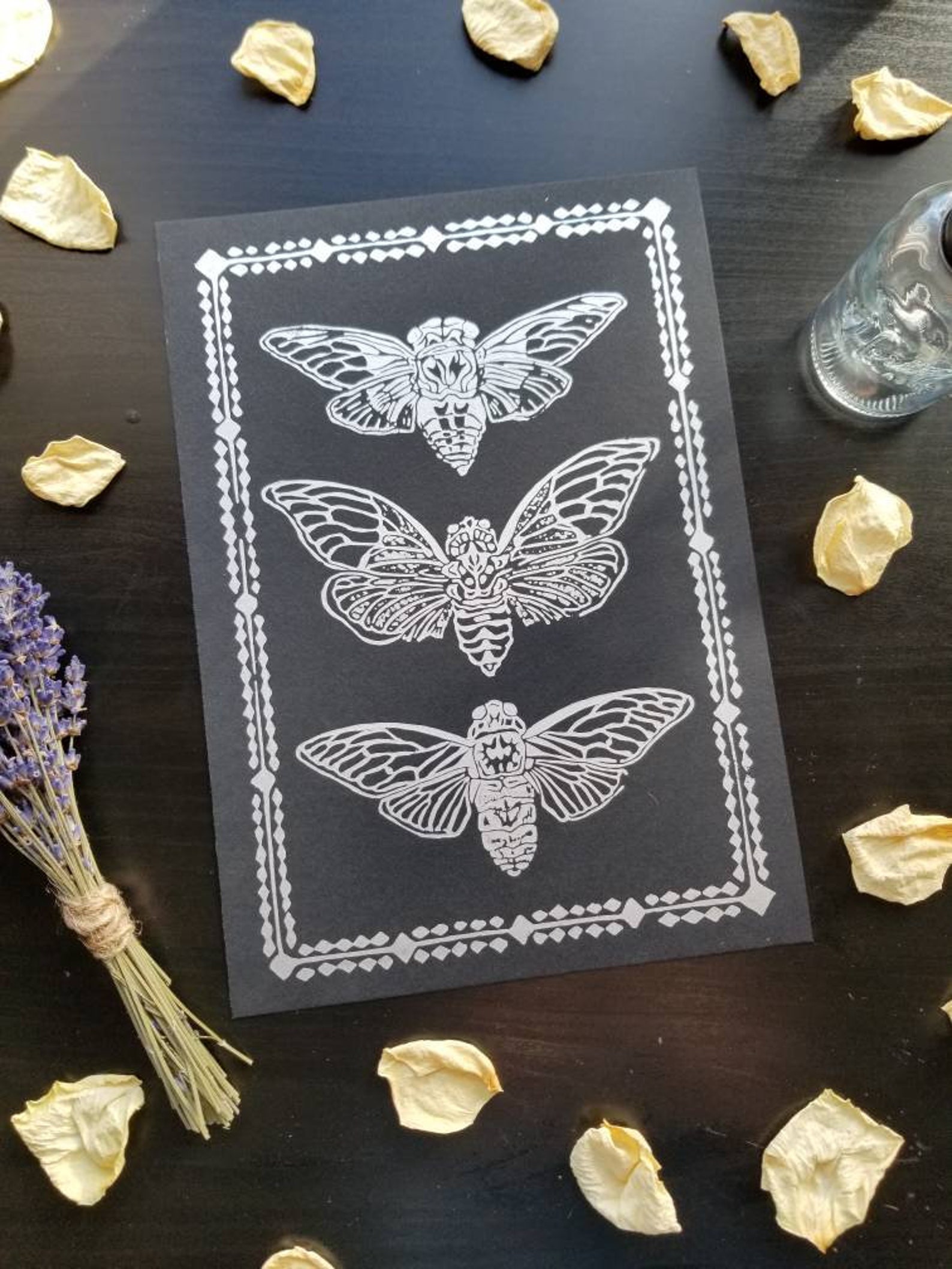 Cicada Print Original Art Linocut Print Hand Carved - Etsy