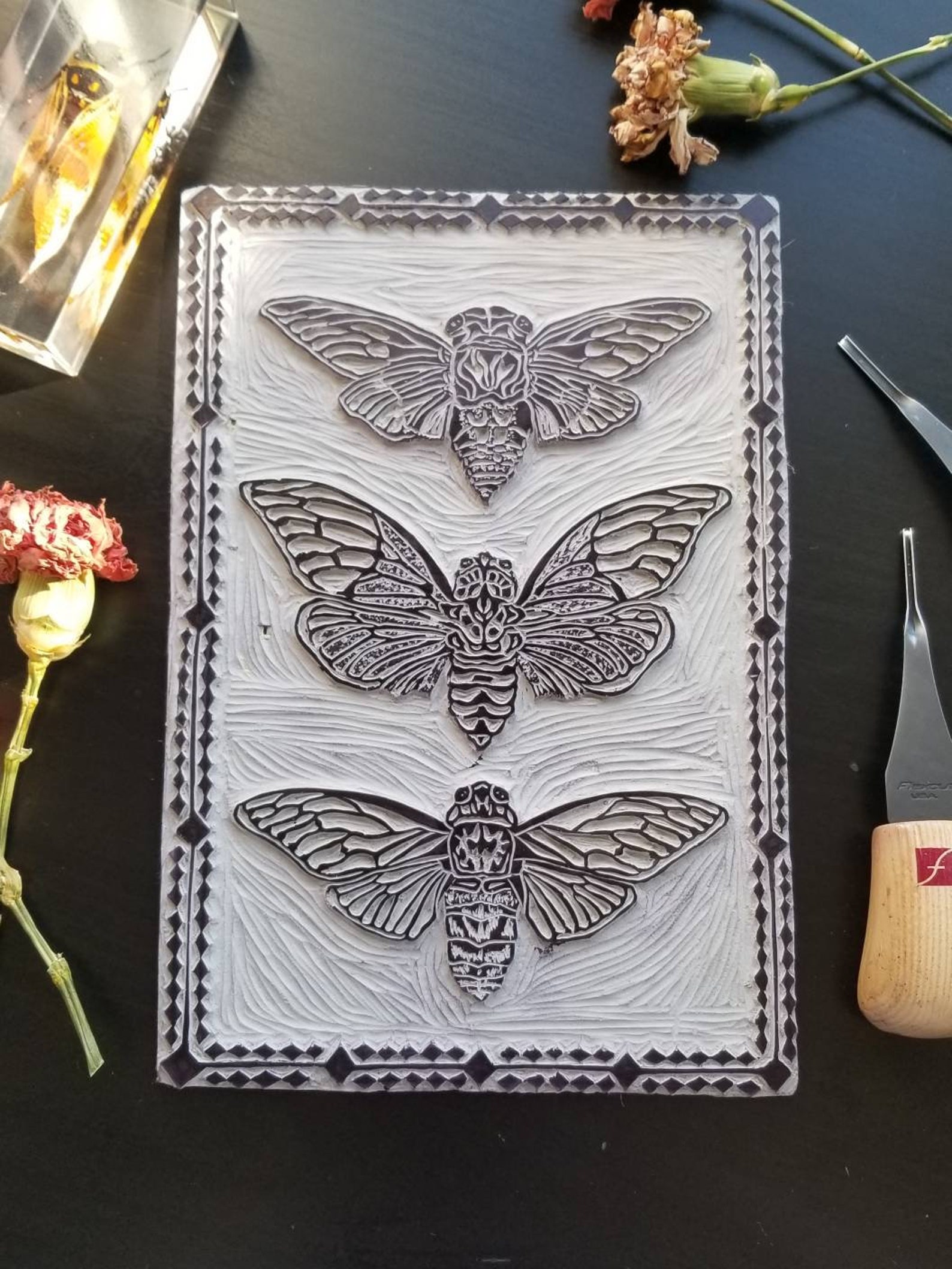 Cicada Print Original Art Linocut Print Hand Carved Entomology Khadi ...