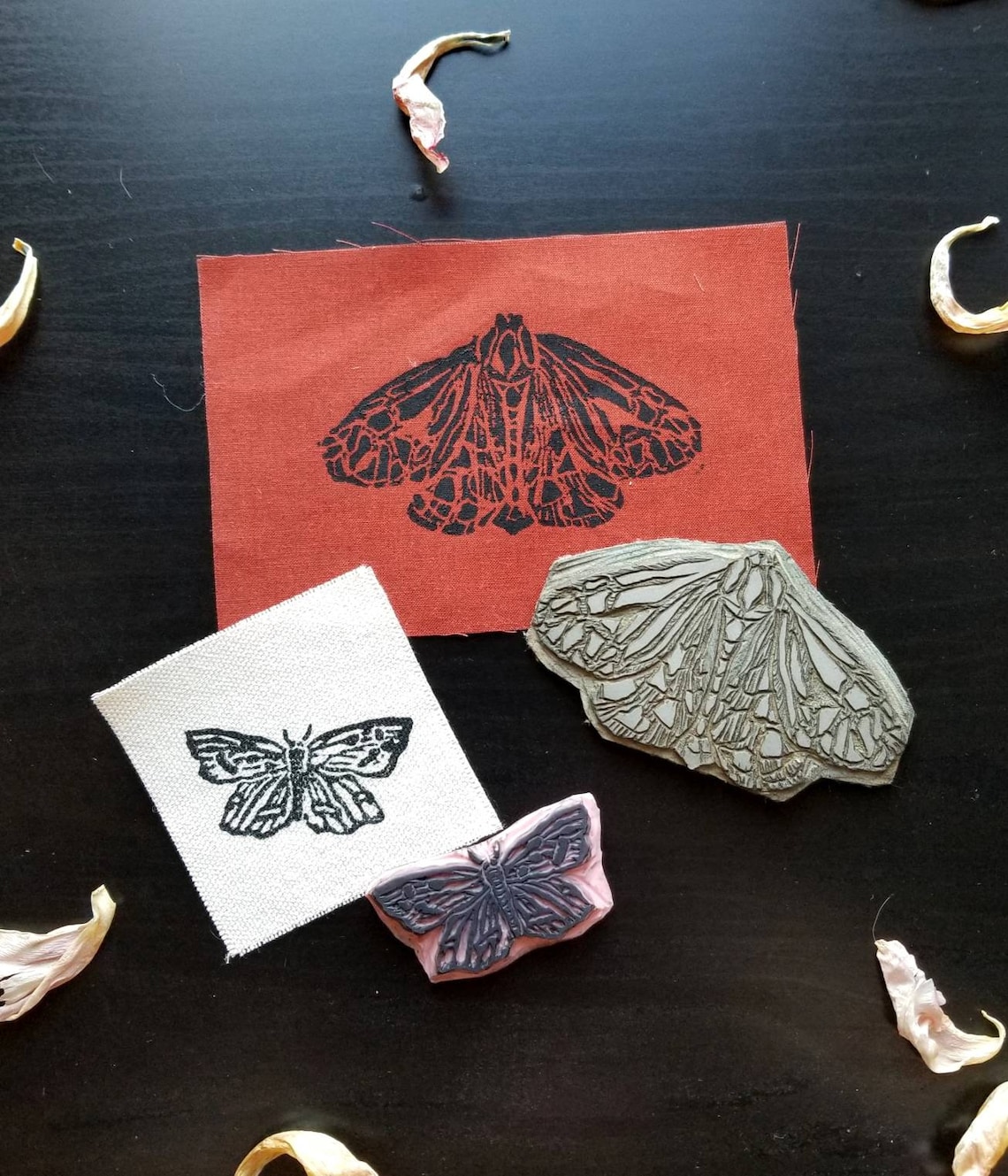 Entomology Patch Packs Beetles & Moths Original Art - Etsy