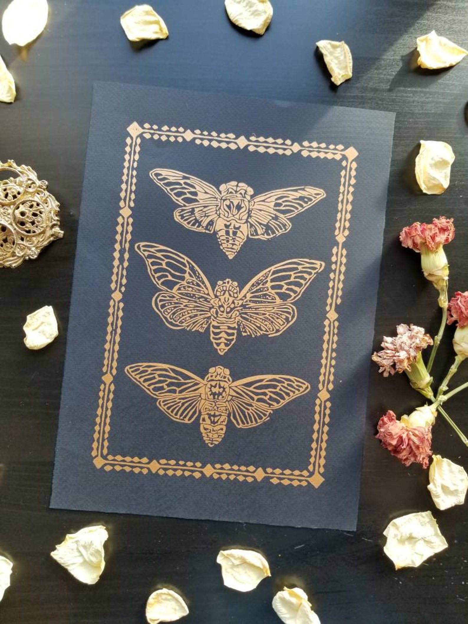 Cicada Print Original Art Linocut Print Hand Carved Entomology Khadi ...