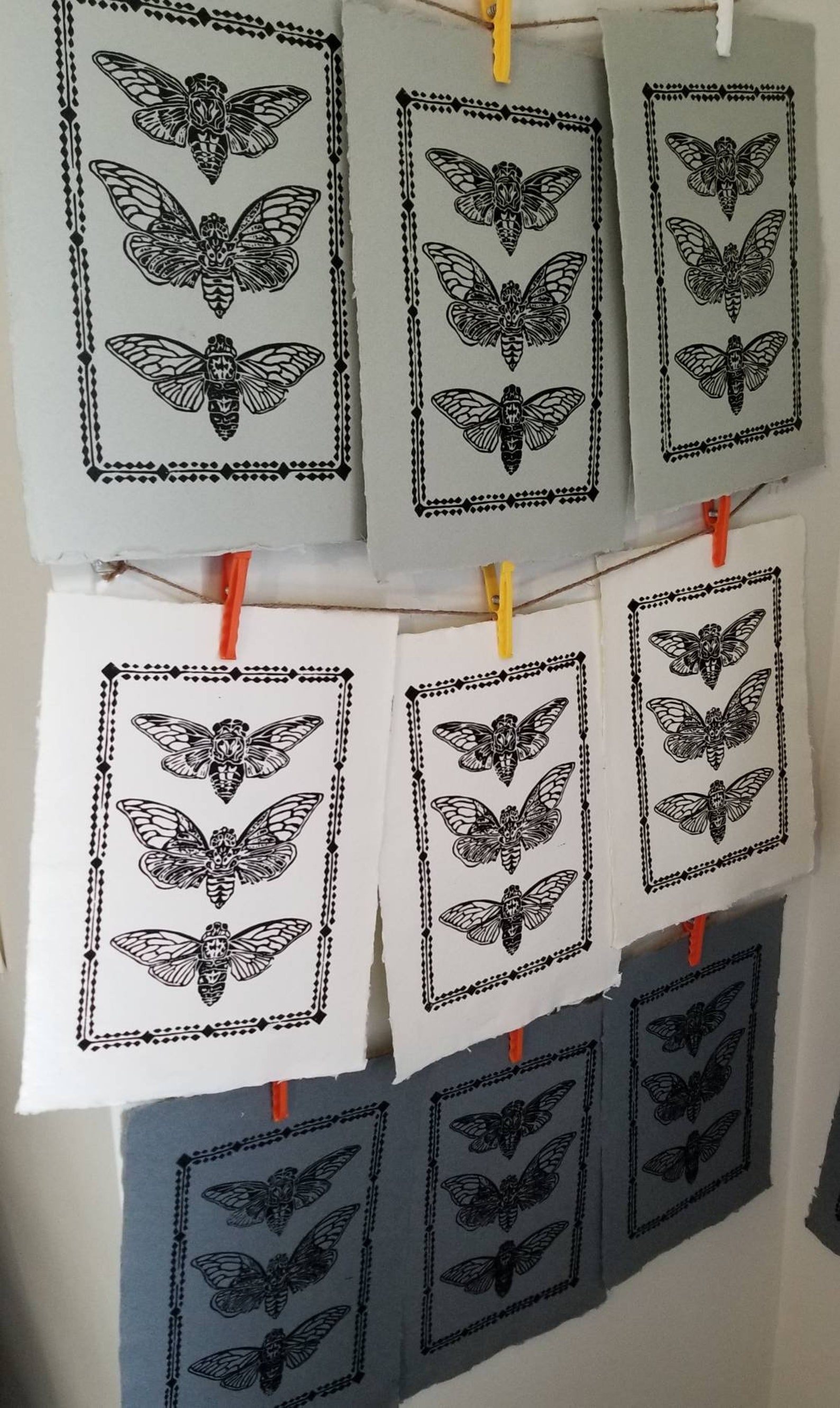 Cicada Print Original Art Linocut Print Hand Carved Entomology Khadi ...