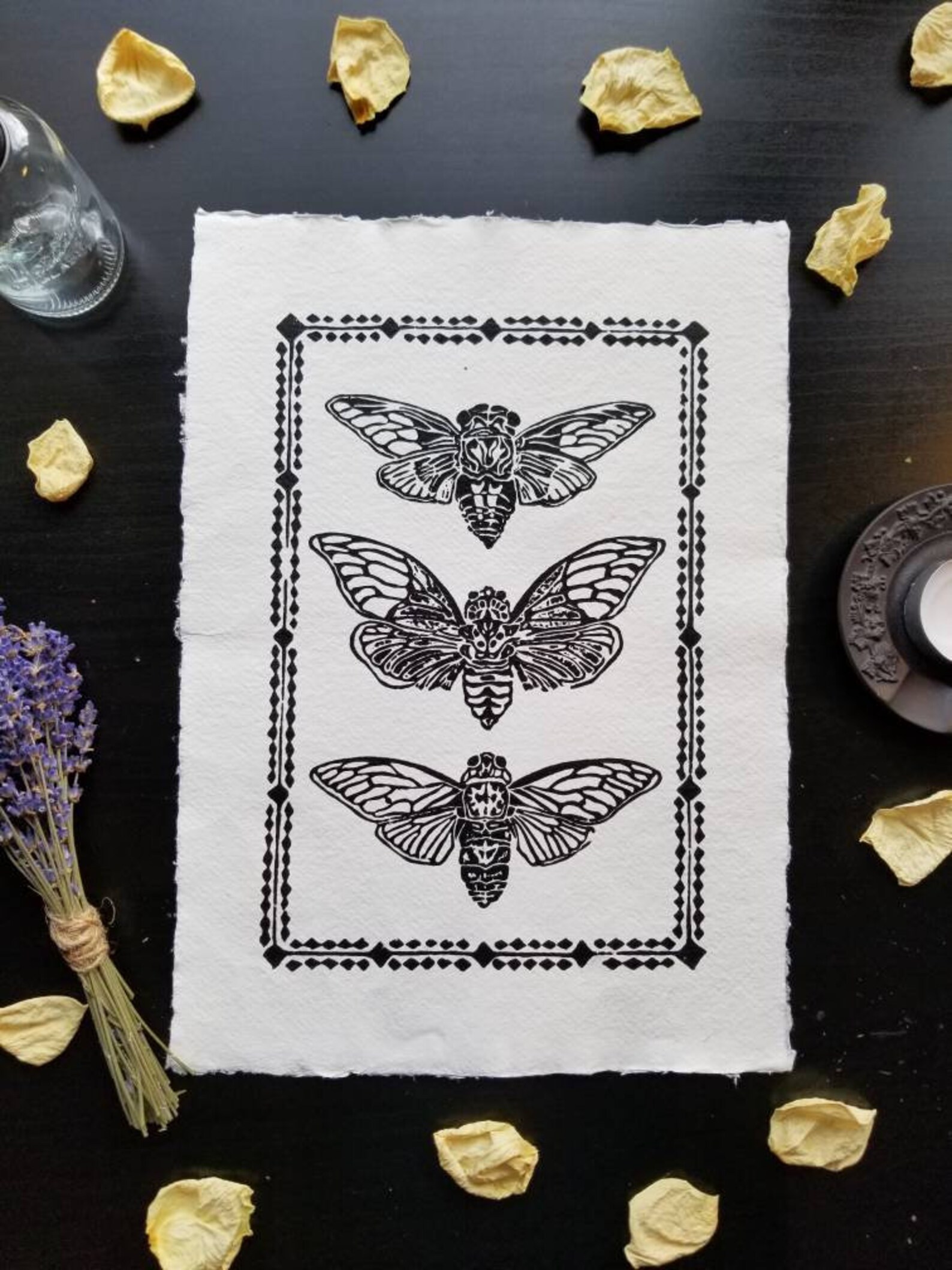 Cicada Print Original Art Linocut Print Hand Carved Entomology Khadi ...