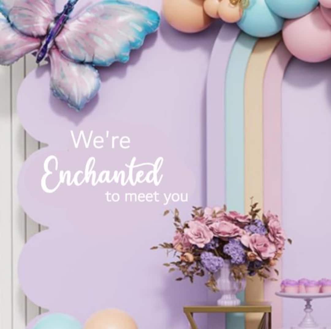 We’re Enchanted to Meet You Decal Iron on or Sticker - Party Custom ...