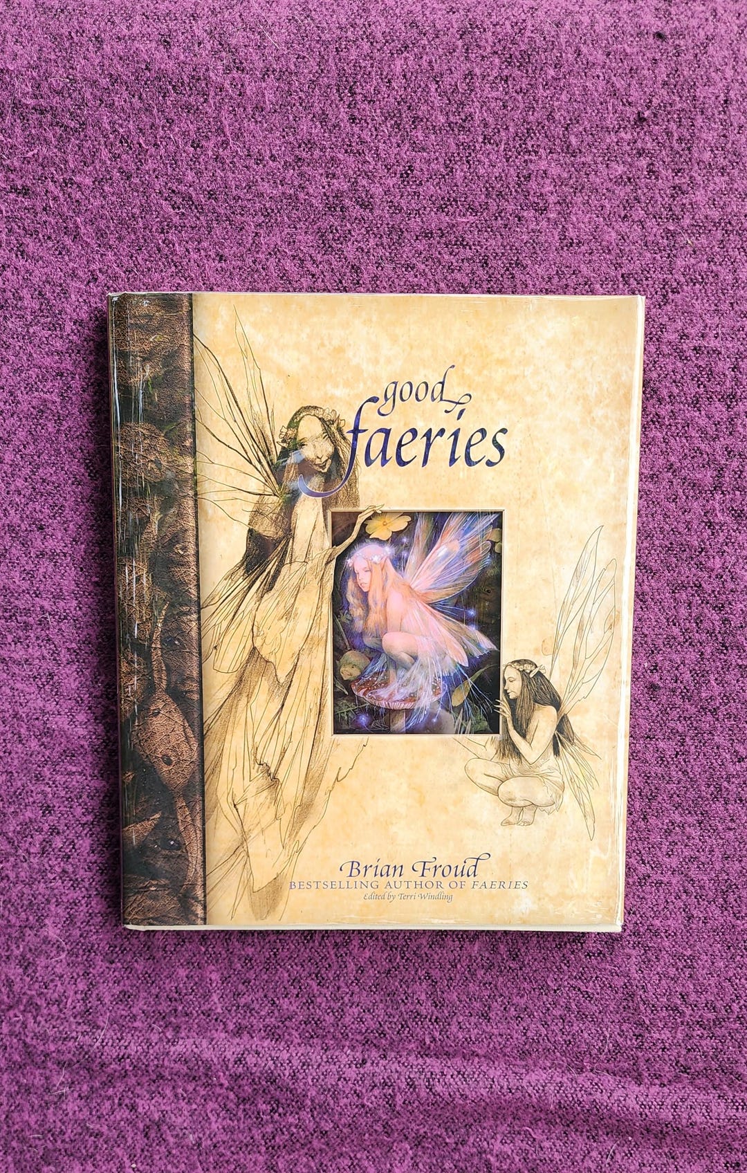 Good Faeries / Bad Faeries. Brian Froud. Ed. Terri Windling. 1998 ...