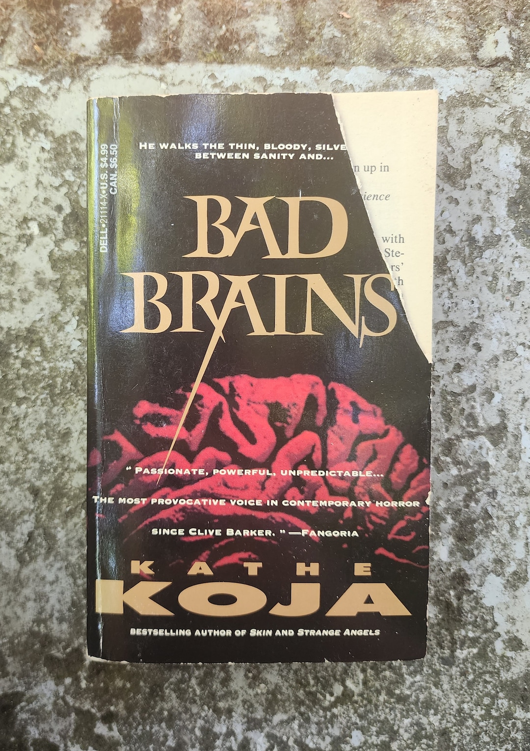 Bad Brains. Kathe Koja. Dell Horror. Splatterpunk. Psychological ...