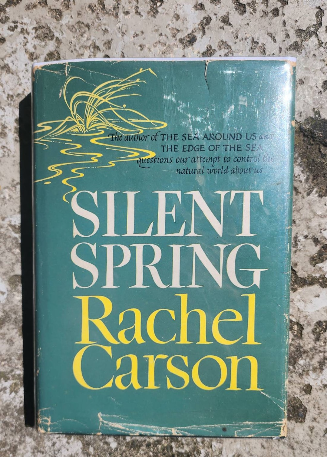 Silent Spring. Rachel Carson. First Edition, First Printing. Houghton ...