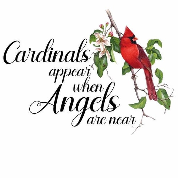 Cardinals Appear When Angels Are Near Svg - Etsy