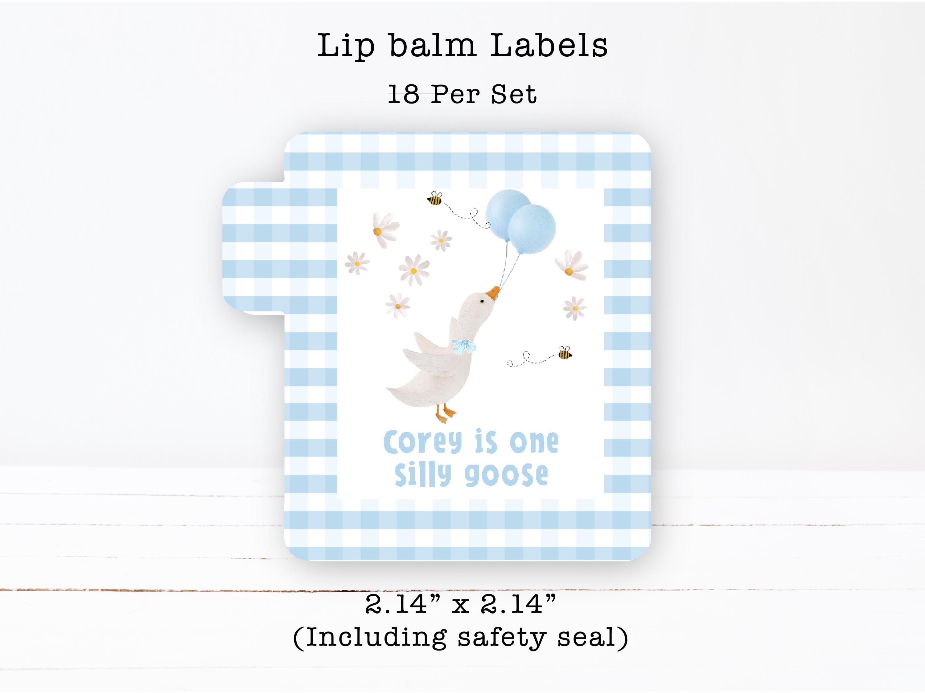 One Silly Goose 1st First Birthday Gingham Daisy Cute Watercolor for ...