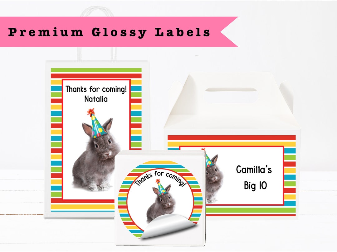 Bunny Rabbit in Party Hat Bright Colorful Pet Birthday Boy Girl Pet ...