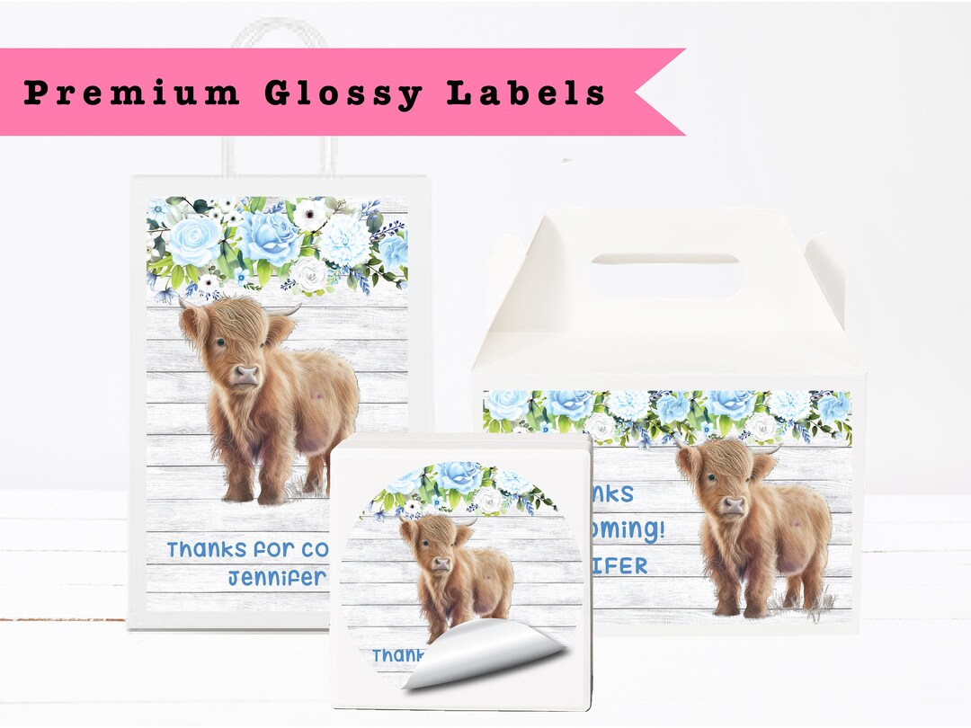 Holy Cow Rustic Highland Cow Boy Party Decorations Blue Floral PRINTED ...