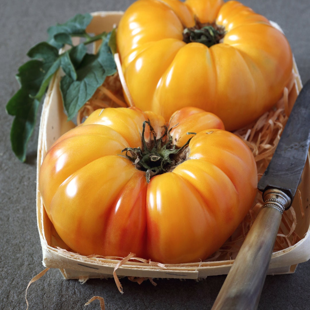 Old Striped German Tomato Seeds Tomato Seeds - Etsy Canada